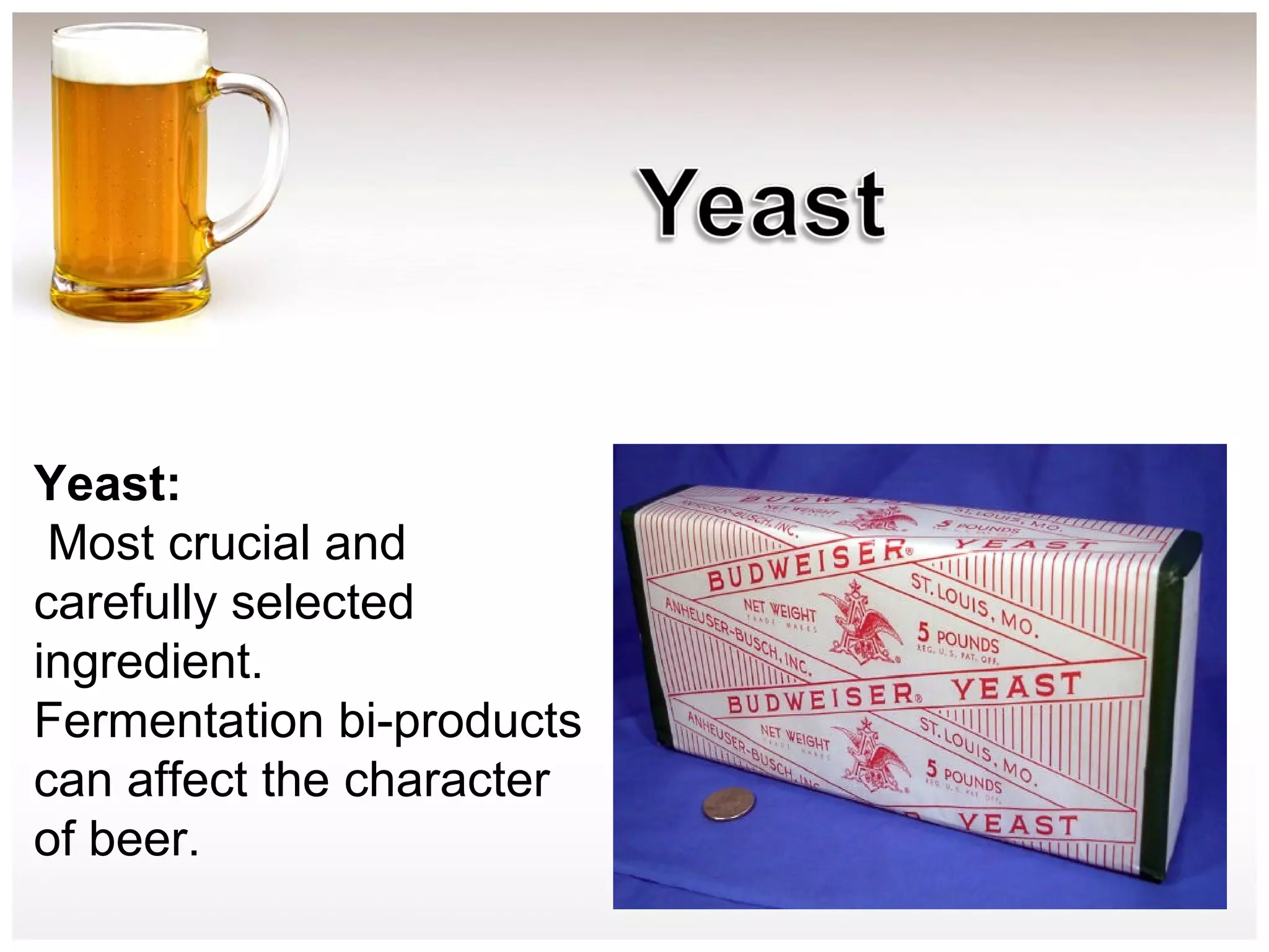 The Basics of Beer | PPT