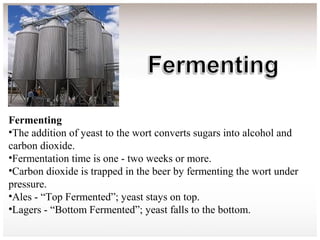 The Basics of Beer | PPT