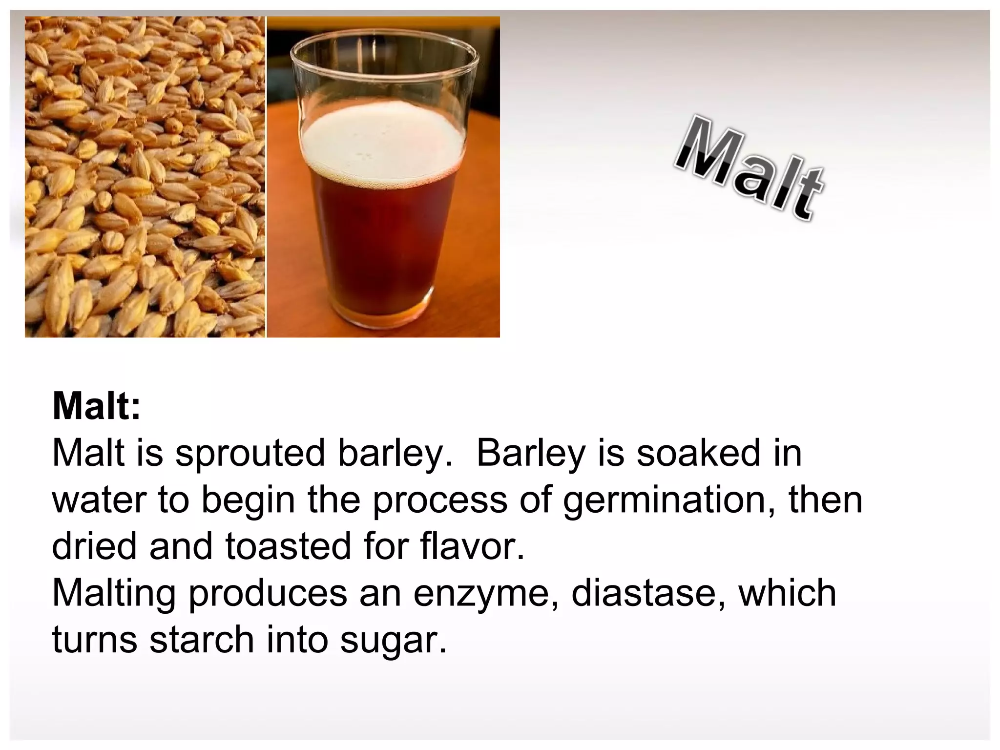 Basics of Beer | PPT