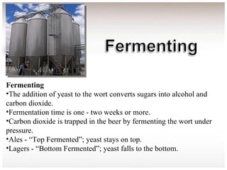 Basics of Beer | PPT