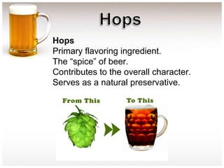Basics of Beer | PPT