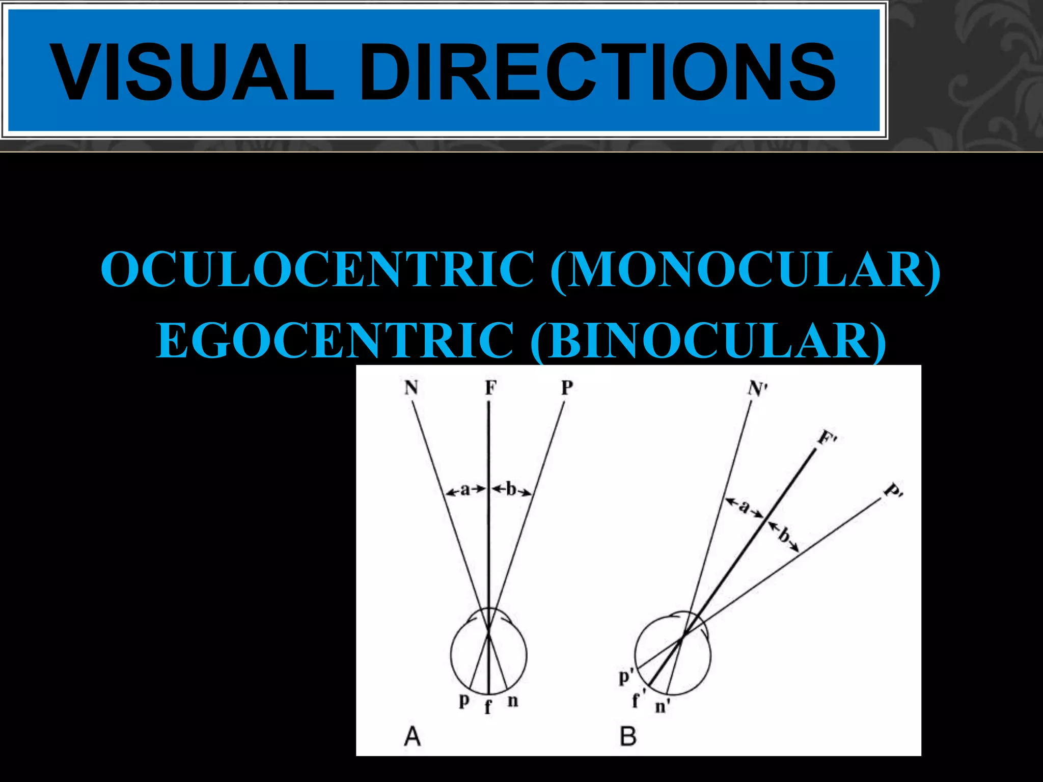 BASICS OF BINOCULAR VISION----1.pptx