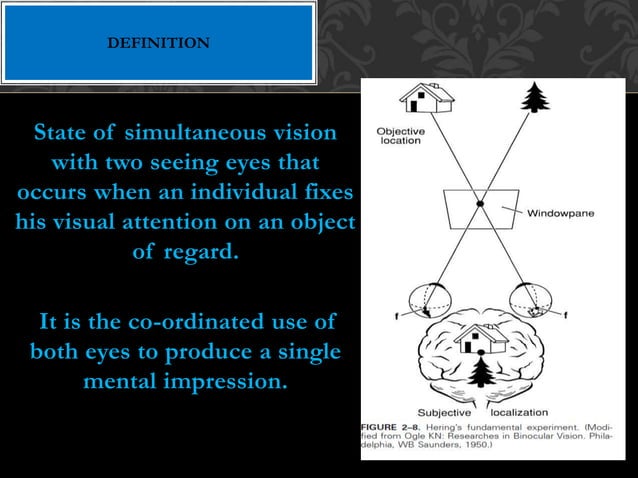 BASICS OF BINOCULAR VISION----1.pptx | Eye and Vision Conditions ...