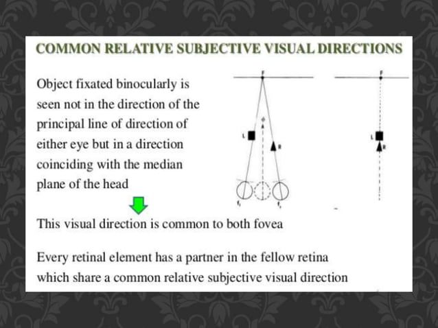 BASICS OF BINOCULAR VISION----1.pptx | Eye and Vision Conditions ...