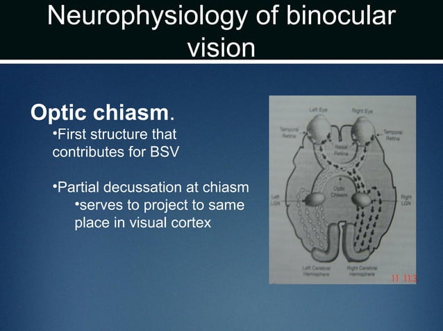Basics of binocular vision | PPT