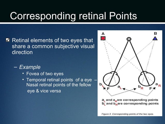 Basics of binocular vision | PPT