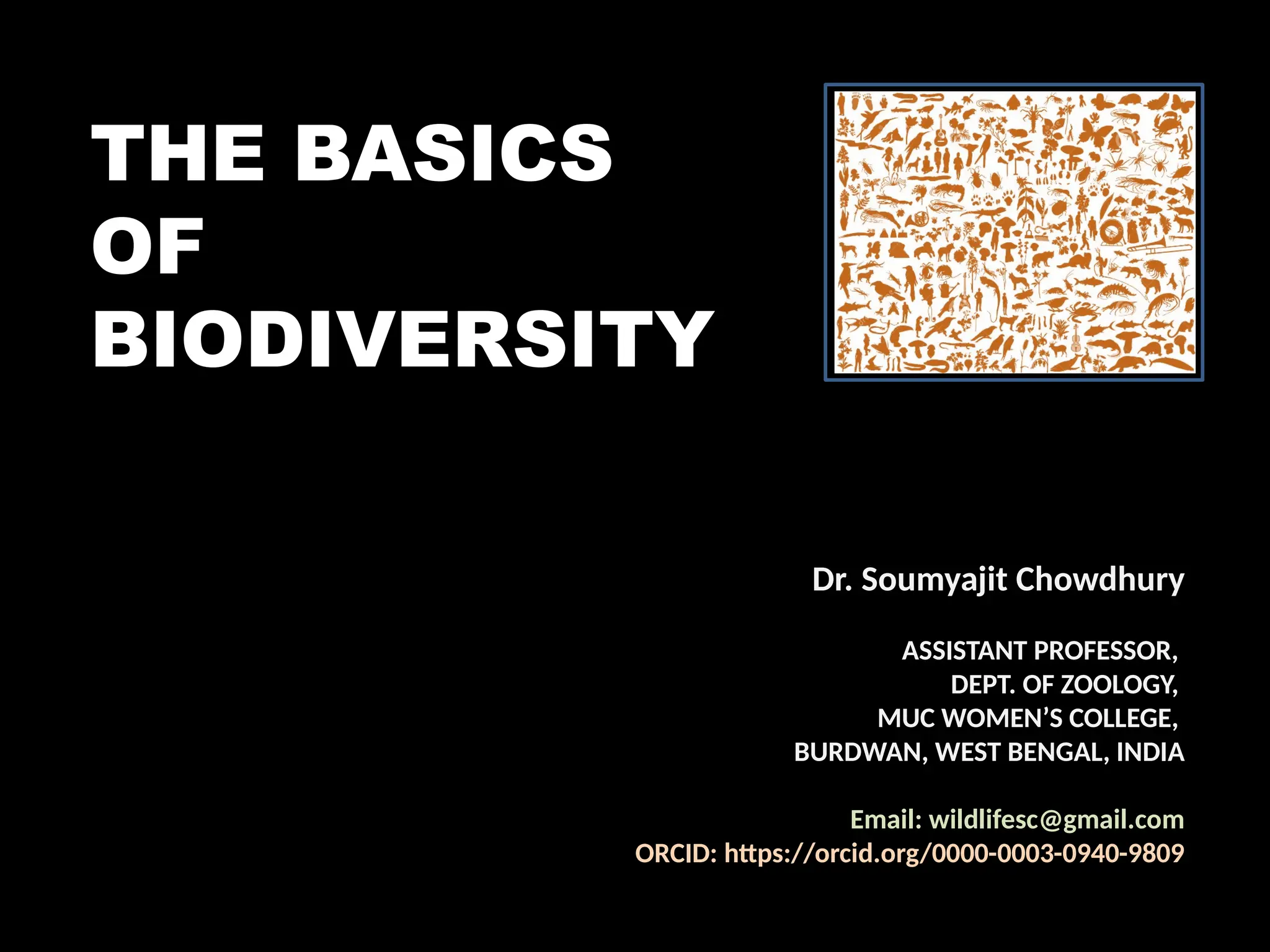 The Basics of Biodiversity: A Core Curriculum | PPTX