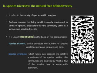 The Basics of Biodiversity: A Core Curriculum | PPTX