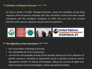 The Basics of Biodiversity: A Core Curriculum | PPTX