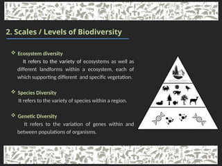 The Basics of Biodiversity: A Core Curriculum | PPTX