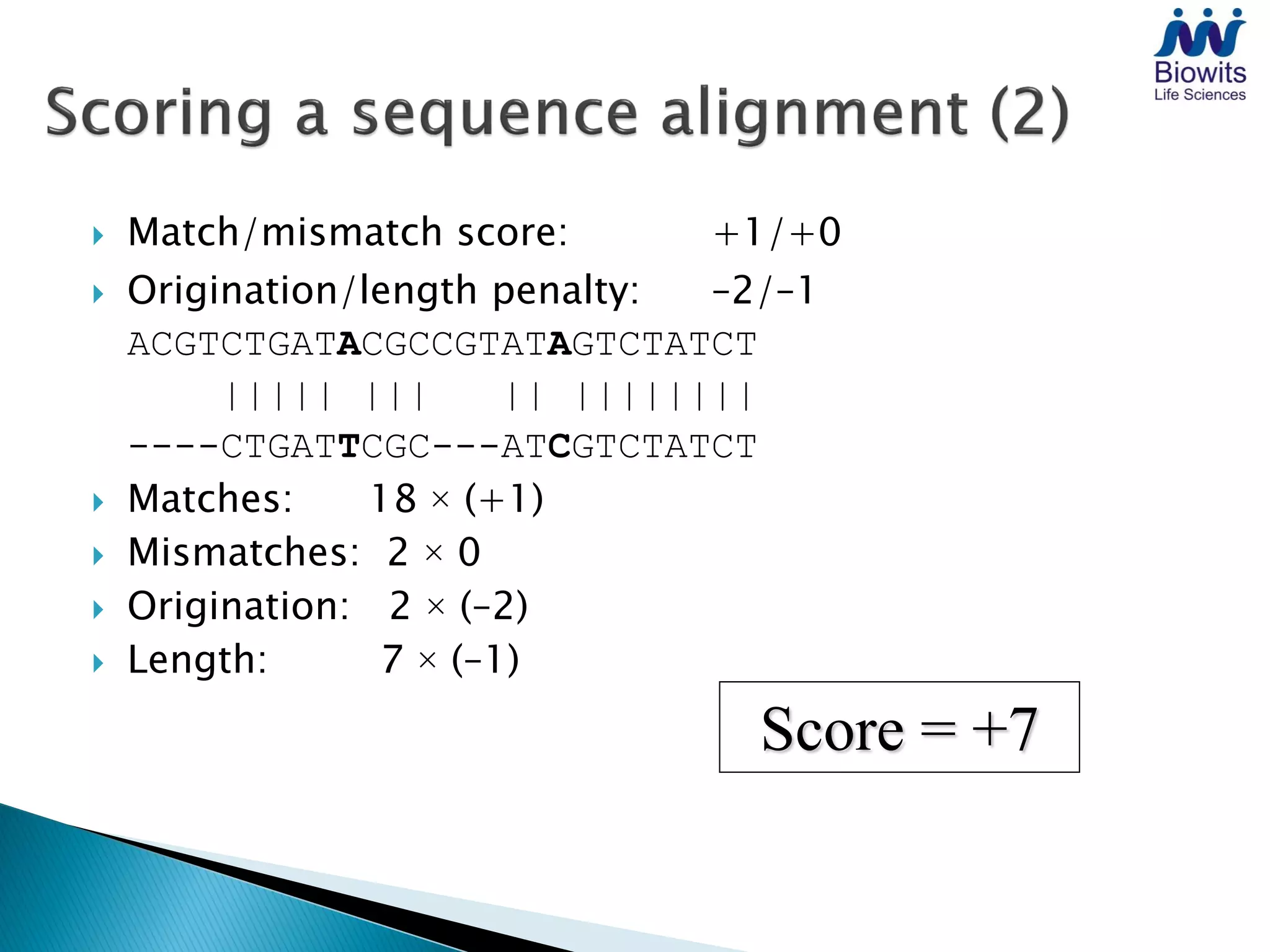 Basics Of Bioinformatics Ppt 