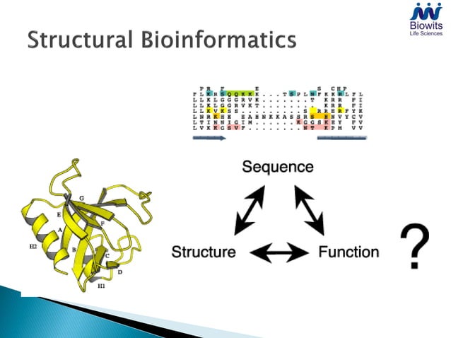 Basics Of Bioinformatics Ppt