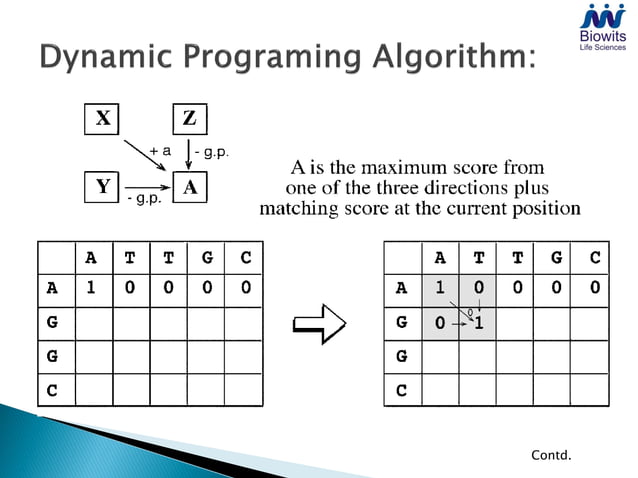 Basics of bioinformatics | PDF | Genetics | Science