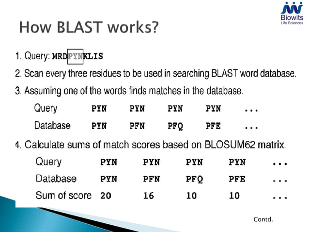 Basics of bioinformatics | PDF | Genetics | Science
