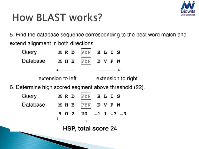 Basics of bioinformatics | PDF | Genetics | Science