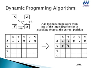 Basics of bioinformatics | PPT