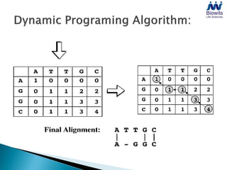 Basics of bioinformatics | PPT