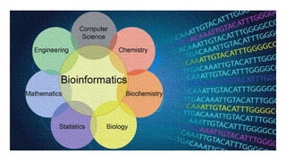 Basics of bioinformatics | PPT