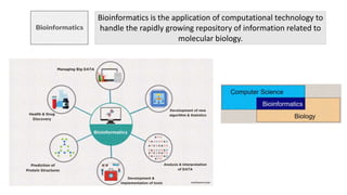 Basics of bioinformatics | PPT
