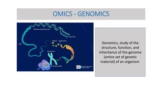 Basics of bioinformatics | PPT