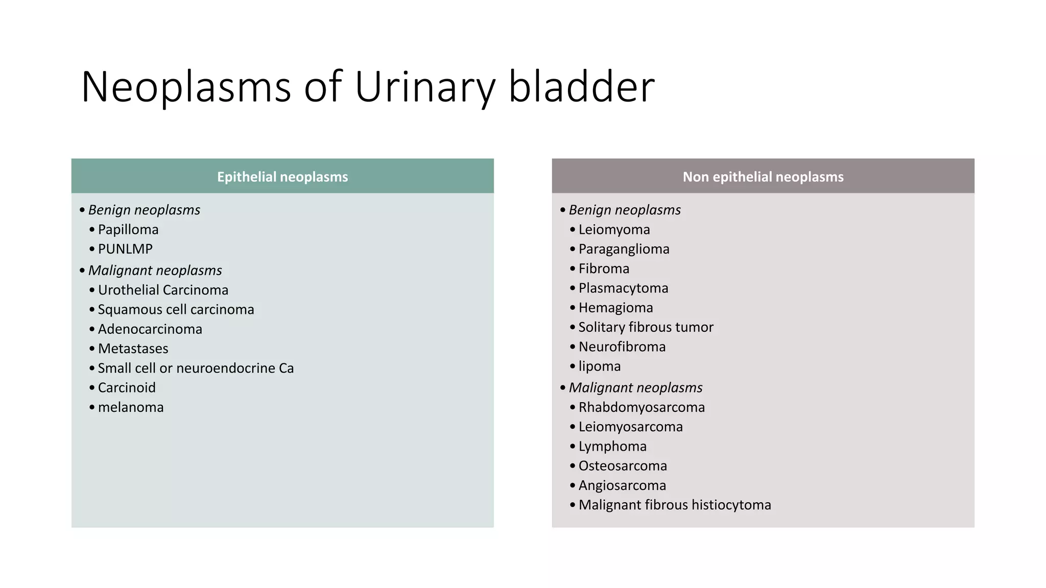 Basics of bladder tumors | PPTX