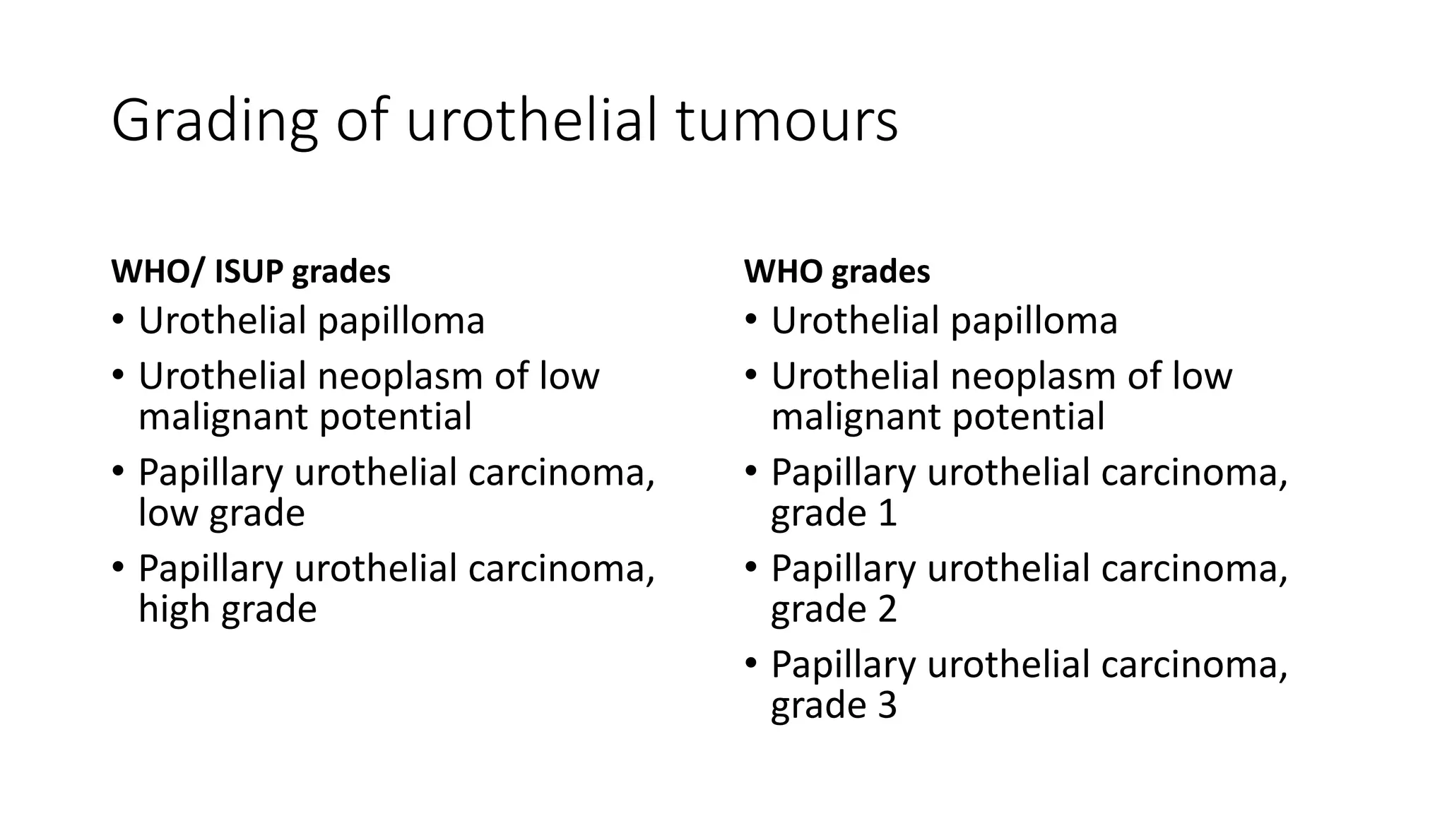 Basics of bladder tumors | PPTX