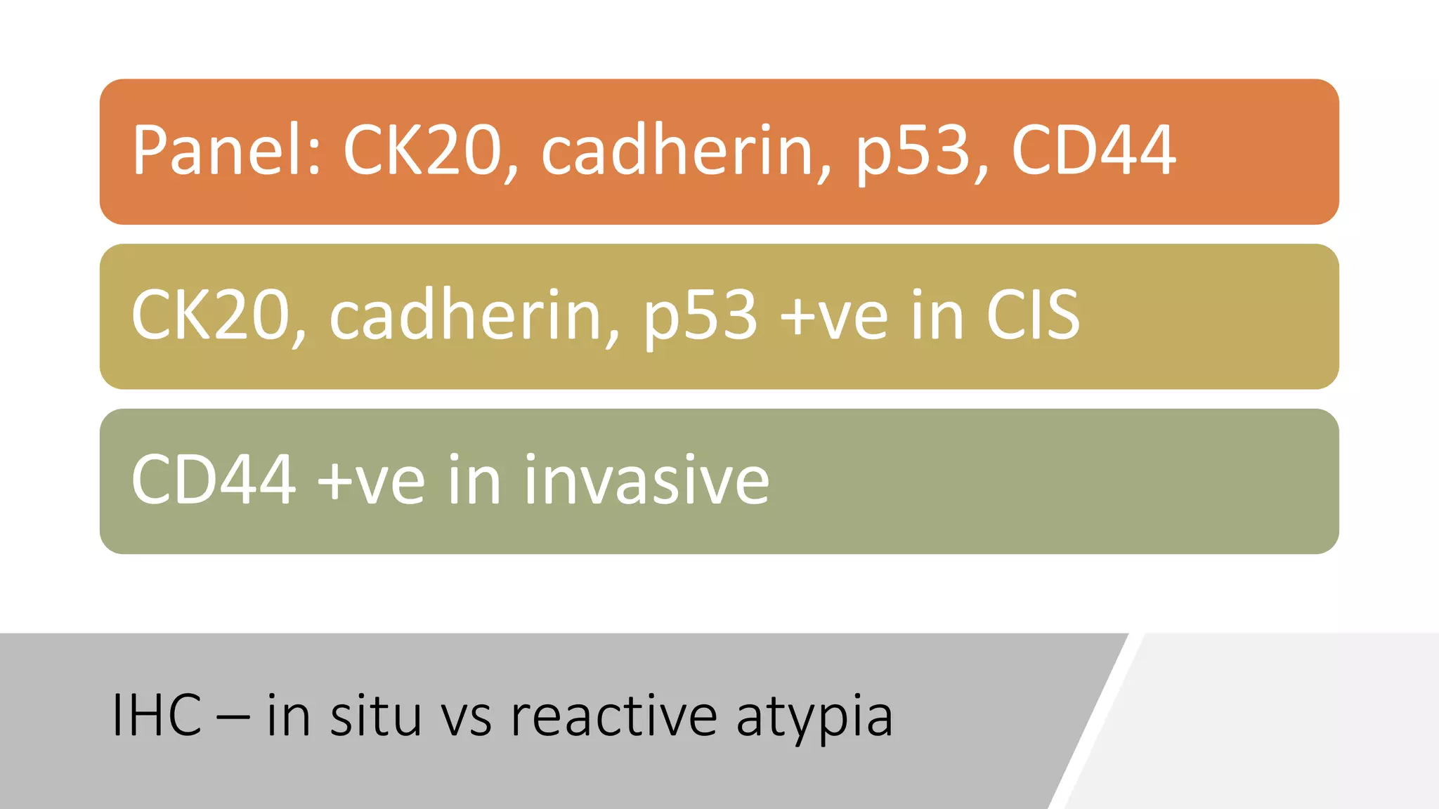 Basics of bladder tumors | PPTX