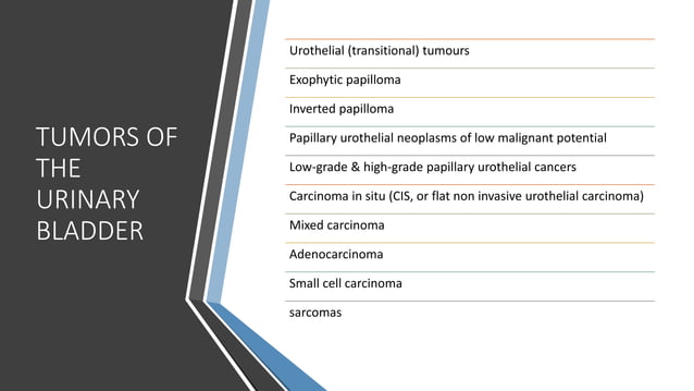 Basics of bladder tumors | PPTX | Cancer | Diseases and Conditions