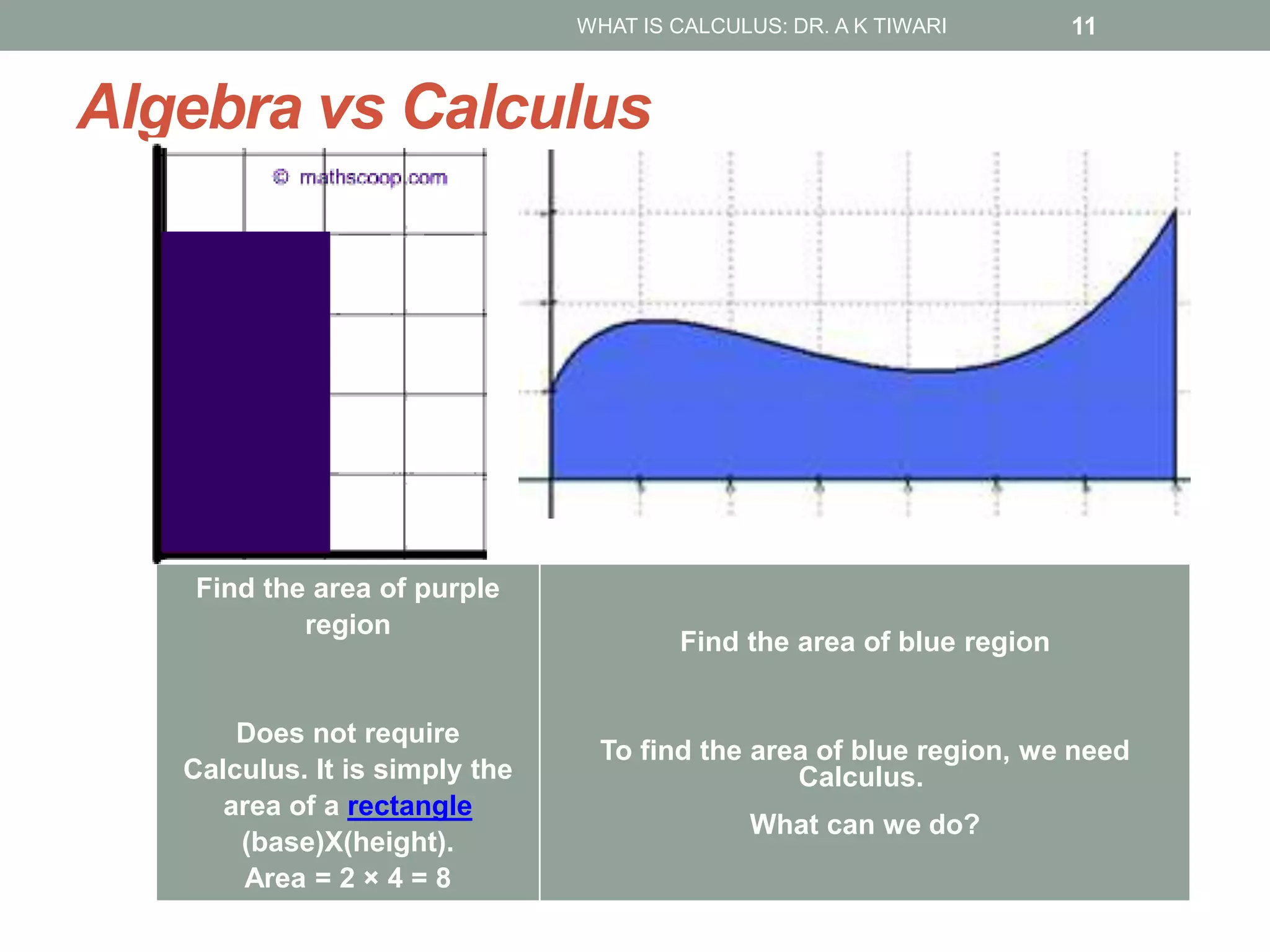 Basics of calculus | PPTX