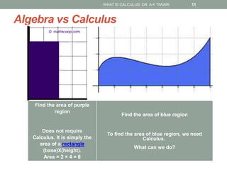 Basics of calculus | PPTX