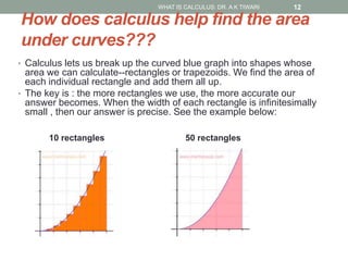 Basics of calculus | PPTX