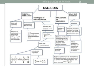 Basics of calculus | PPTX