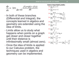 Basics of calculus | PPTX