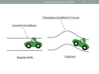 Basics of calculus | PPTX