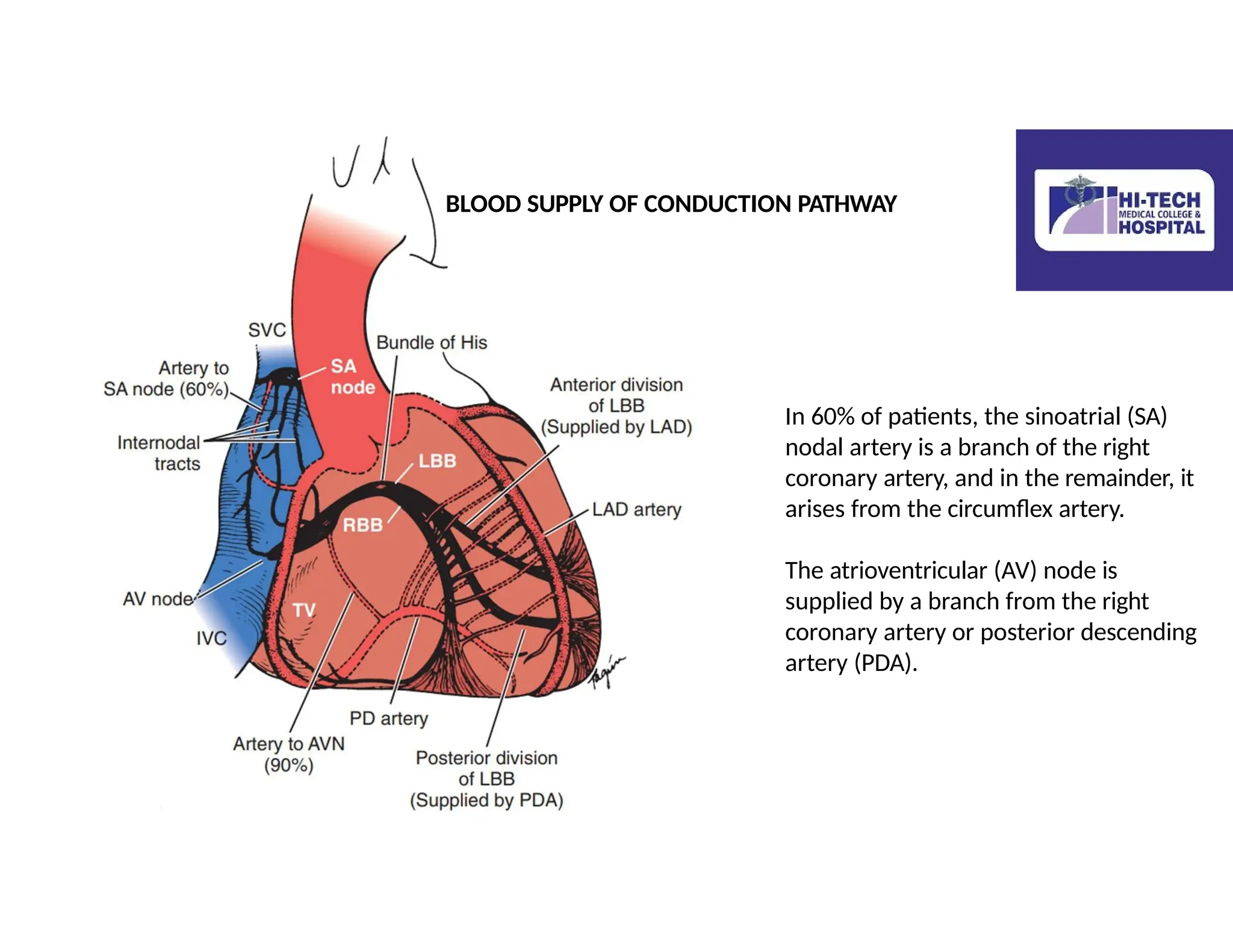 Basics of Cardiac Anatomy, Physiology & Pharmacology (1).pptx