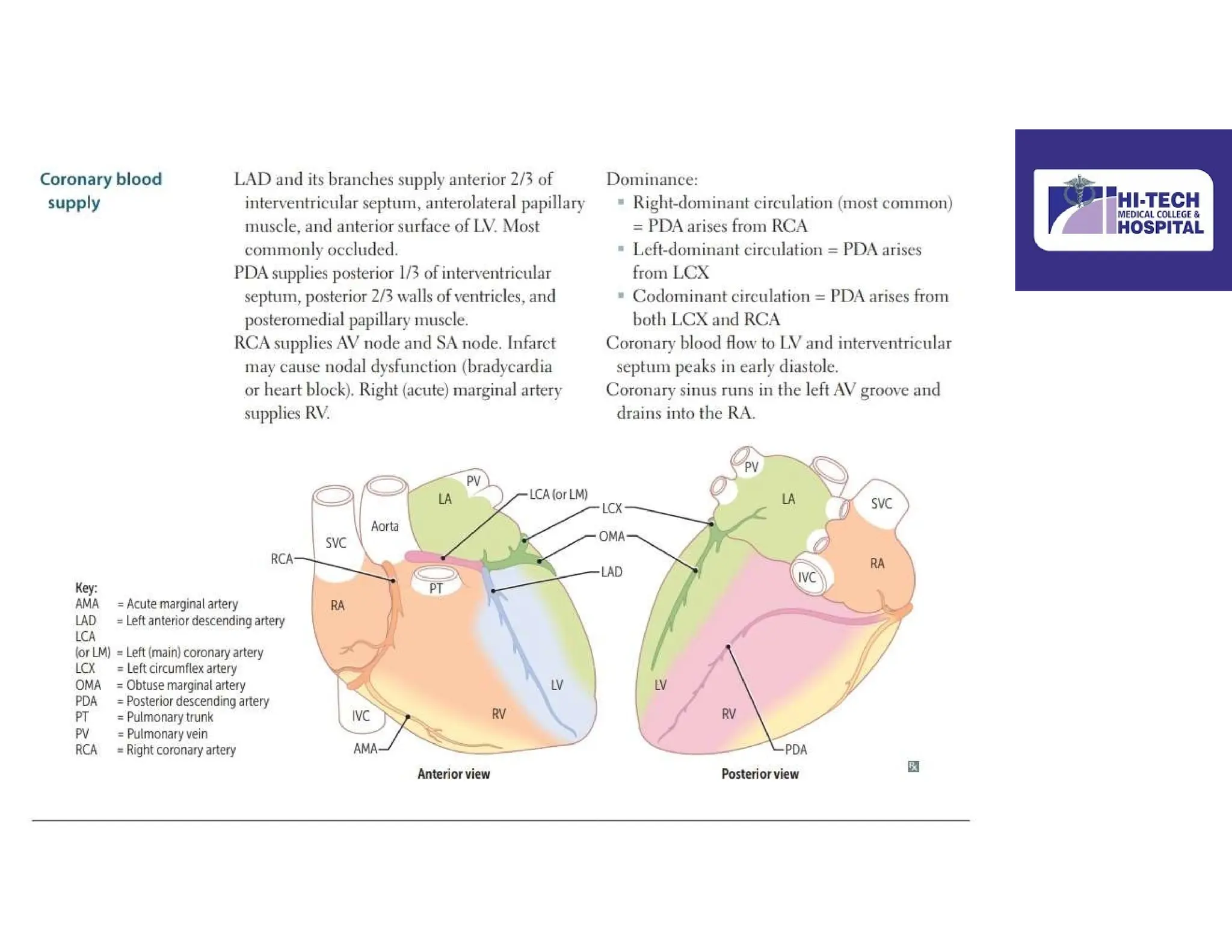 Basics of Cardiac Anatomy, Physiology & Pharmacology (1).pptx