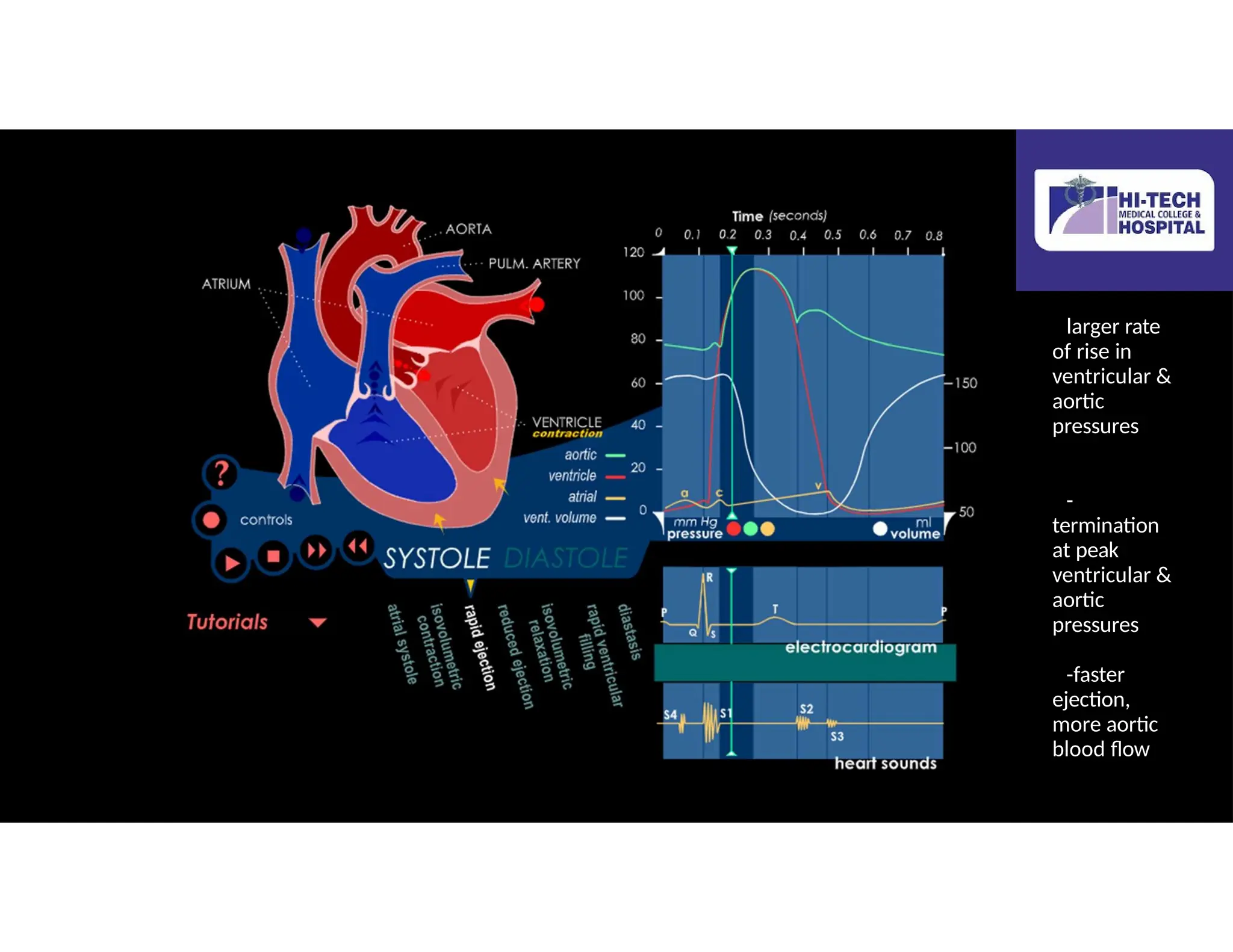 Basics of Cardiac Anatomy, Physiology & Pharmacology (1).pptx