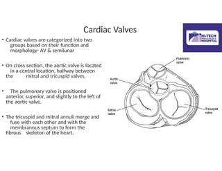 Basics of Cardiac Anatomy, Physiology & Pharmacology (1).pptx