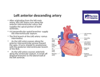 Basics of Cardiac Anatomy, Physiology & Pharmacology (1).pptx