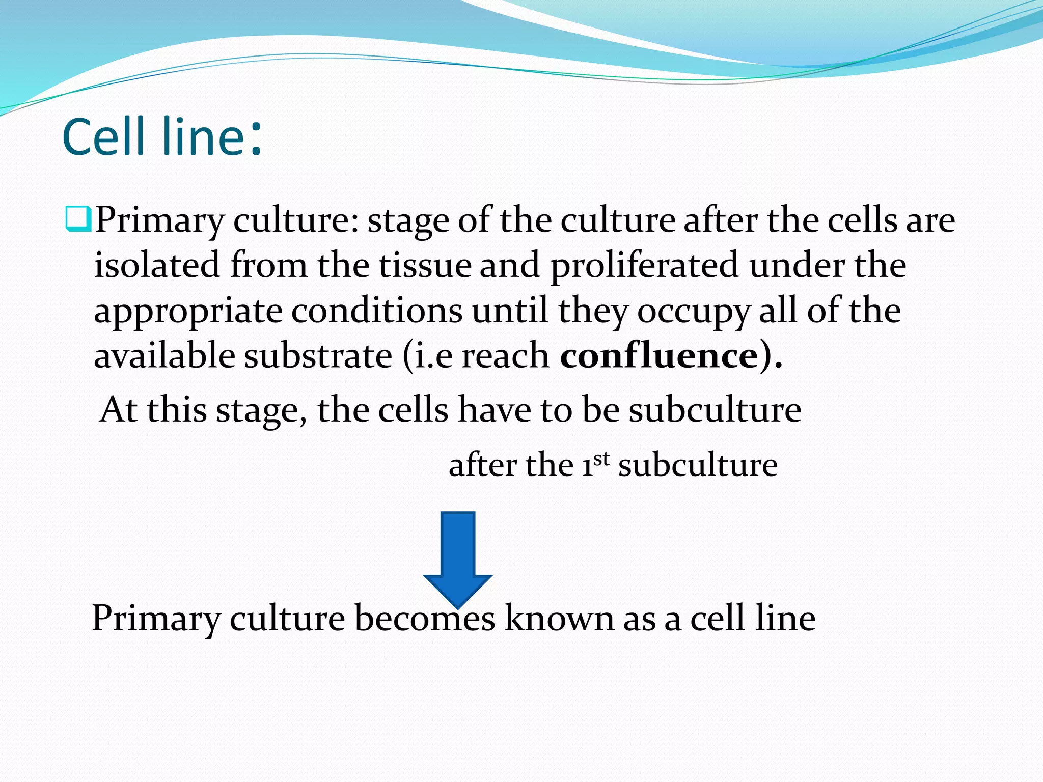 Basics of cell culture | PPTX