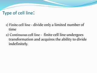 Basics of cell culture | PPTX