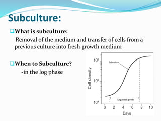 Basics of cell culture | PPTX