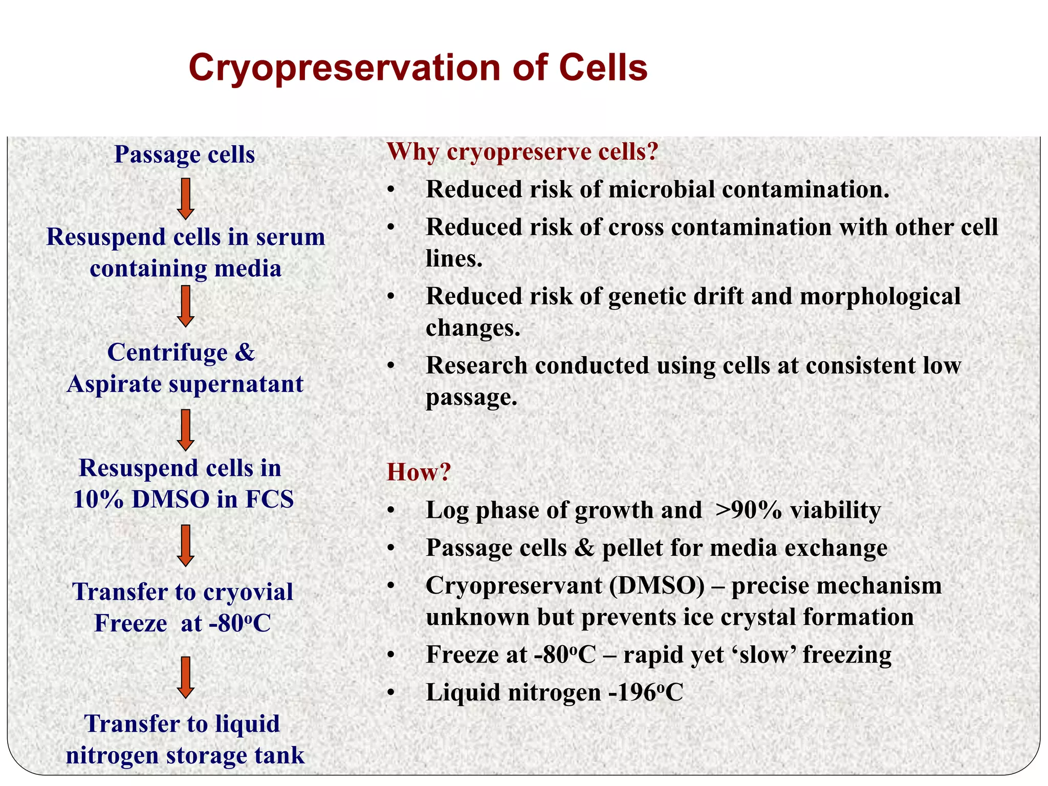 Basics of cell culture | PPT