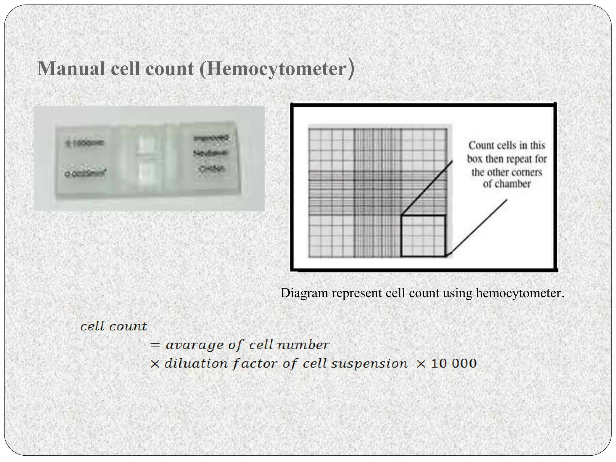 Basics of cell culture | PPT