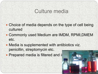 Basics of cell culture | PPT