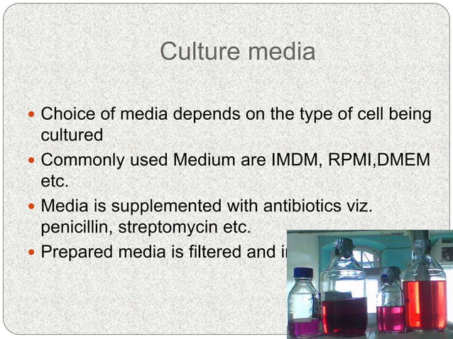 Basics of cell culture | PPT