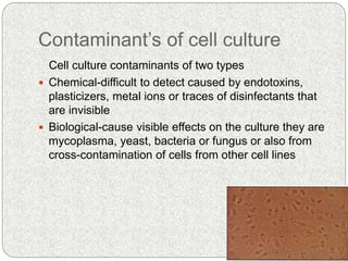 Basics of cell culture | PPT