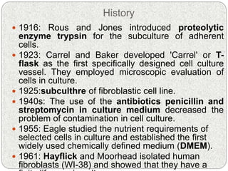 Basics of cell culture | PPT