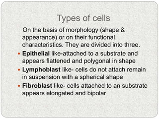 Basics of cell culture | PPT