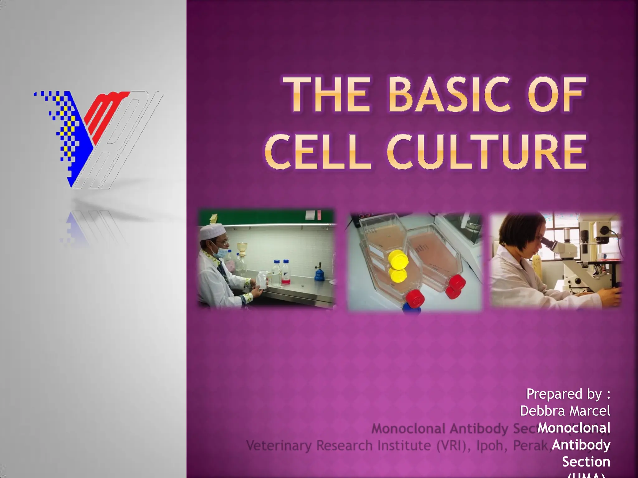 basics of mammalian cell culture, cell lines and aseptic techniques | PPTX